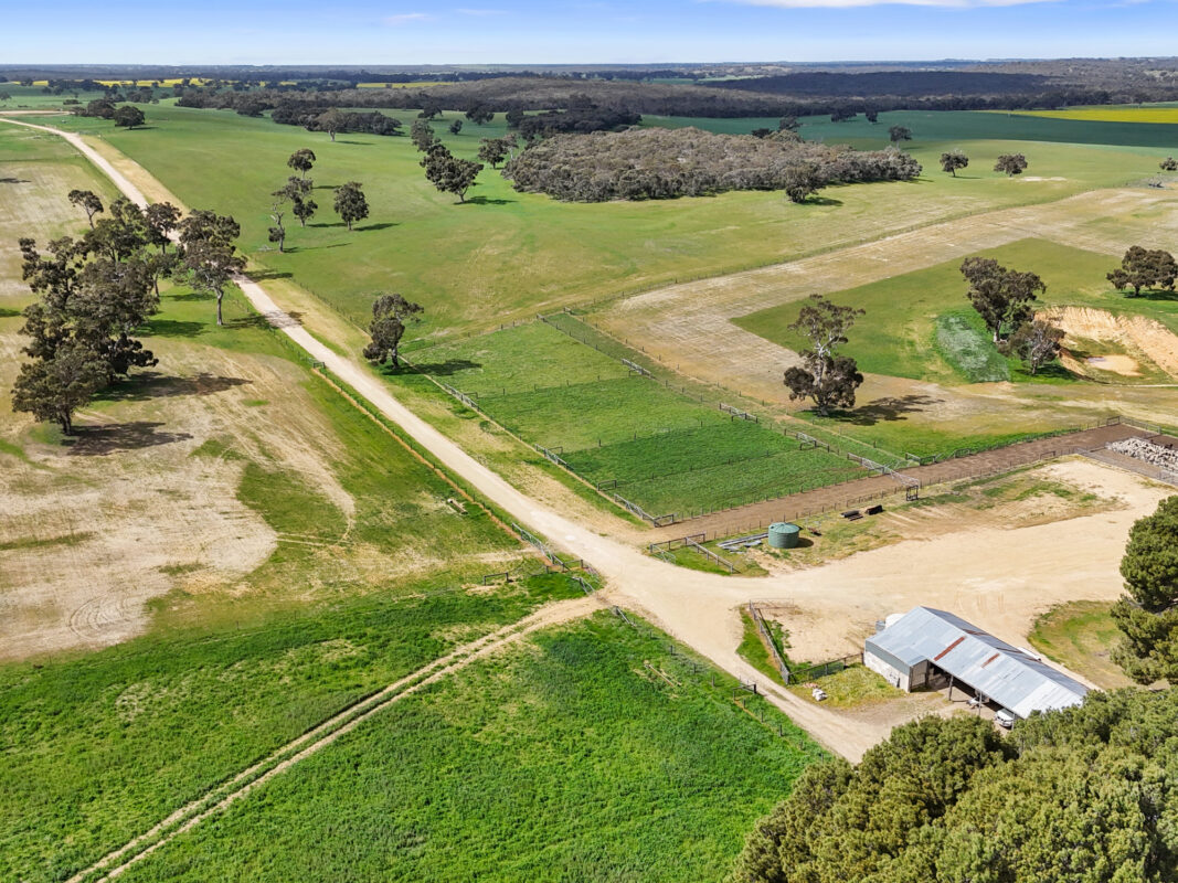 559 Old Stone Tank Road, Mundulla SA 5270 - Spence Dix and Co